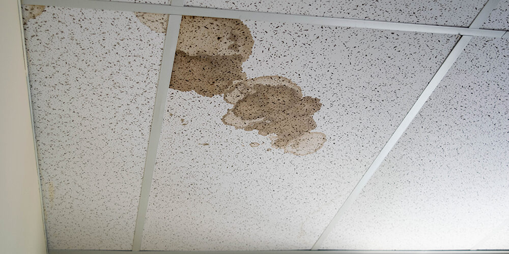 Ceiling Repair Process - ABC Inspections LLC