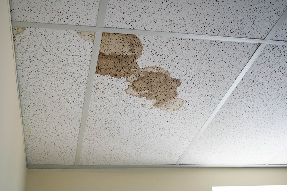 Ceiling Repair Process - ABC Inspections LLC